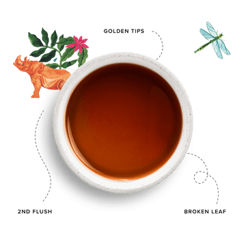 Unleash Tea Excellence at 96° | Discover Exquisite Tea Delights – 96 ...