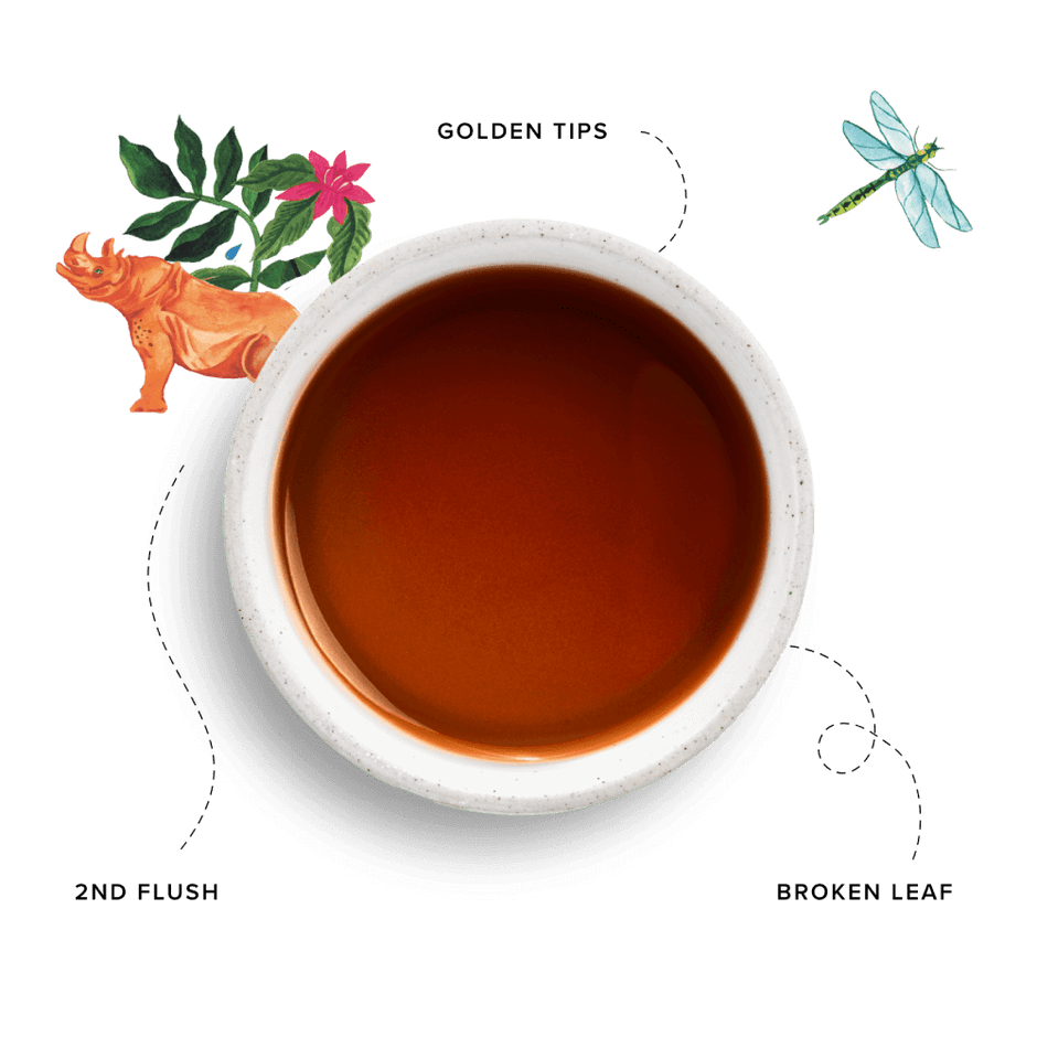 Unleash Tea Excellence at 96° | Discover Exquisite Tea Delights – 96 ...