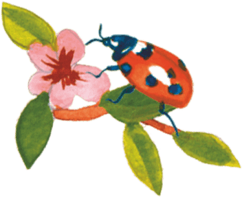 Unleash Tea Excellence at 96° | Discover Exquisite Tea Delights – 96 ...